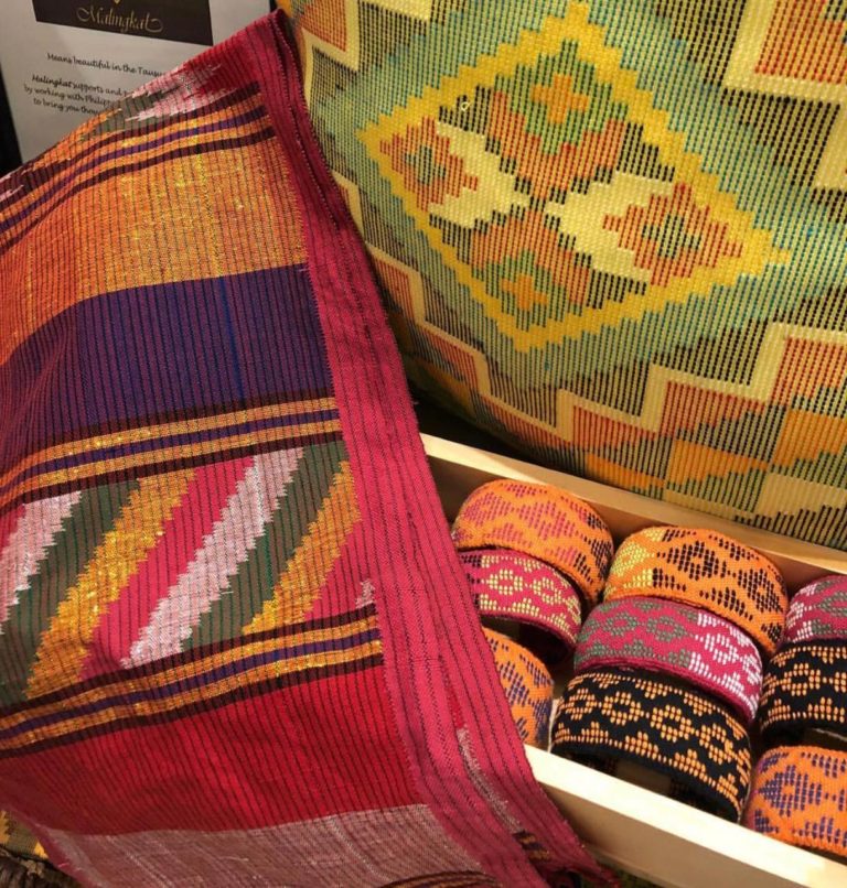 My Daily Race – My Life as a Legislator, Mom and Triathlete